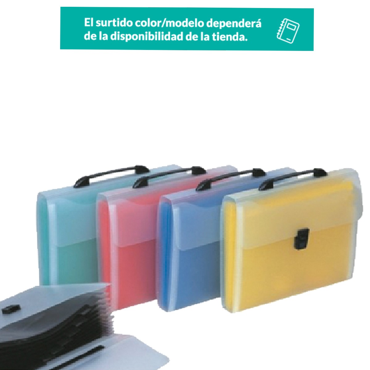 Folder Expandible Tamaño Carta Tipo Portafolio | DelSol