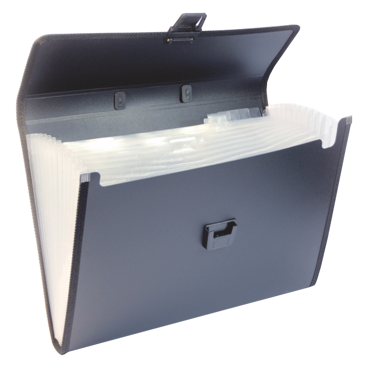 Carpeta Expandible Celica 13 Compartimentos Negro | DelSol