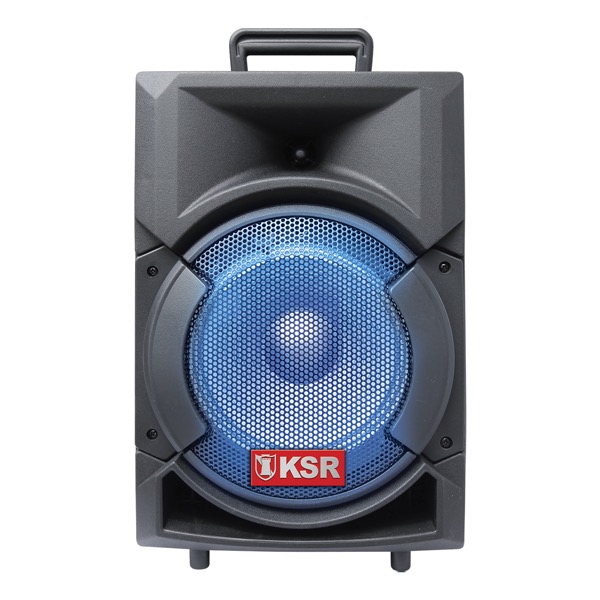 Bafle Profesional Recargable 8 Pulgadas con Micrófono Alámbrico Kaiser | DelSol