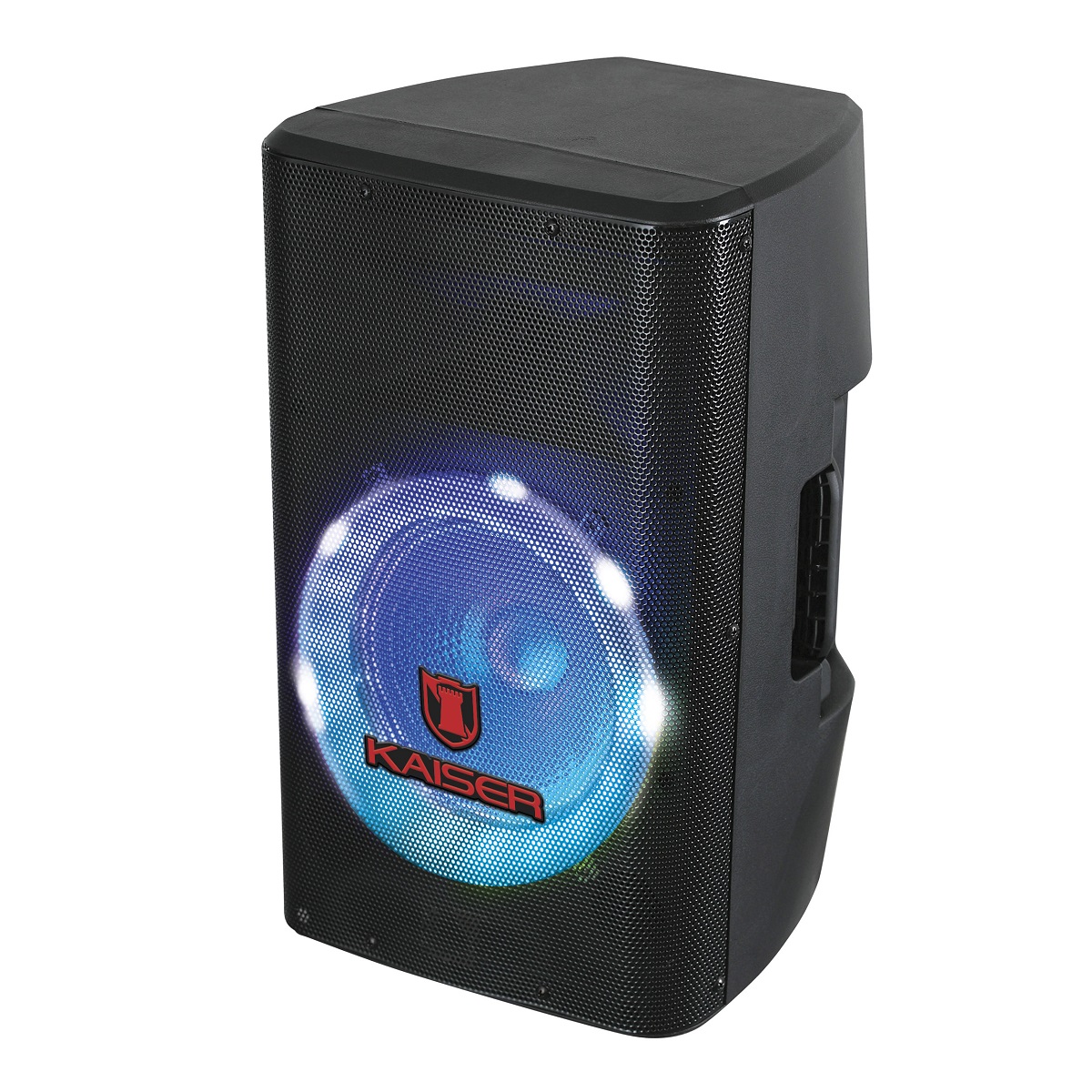 Bafle Recargable KSR 8 Pulgadas Luz Circular Luz Circular | DelSol