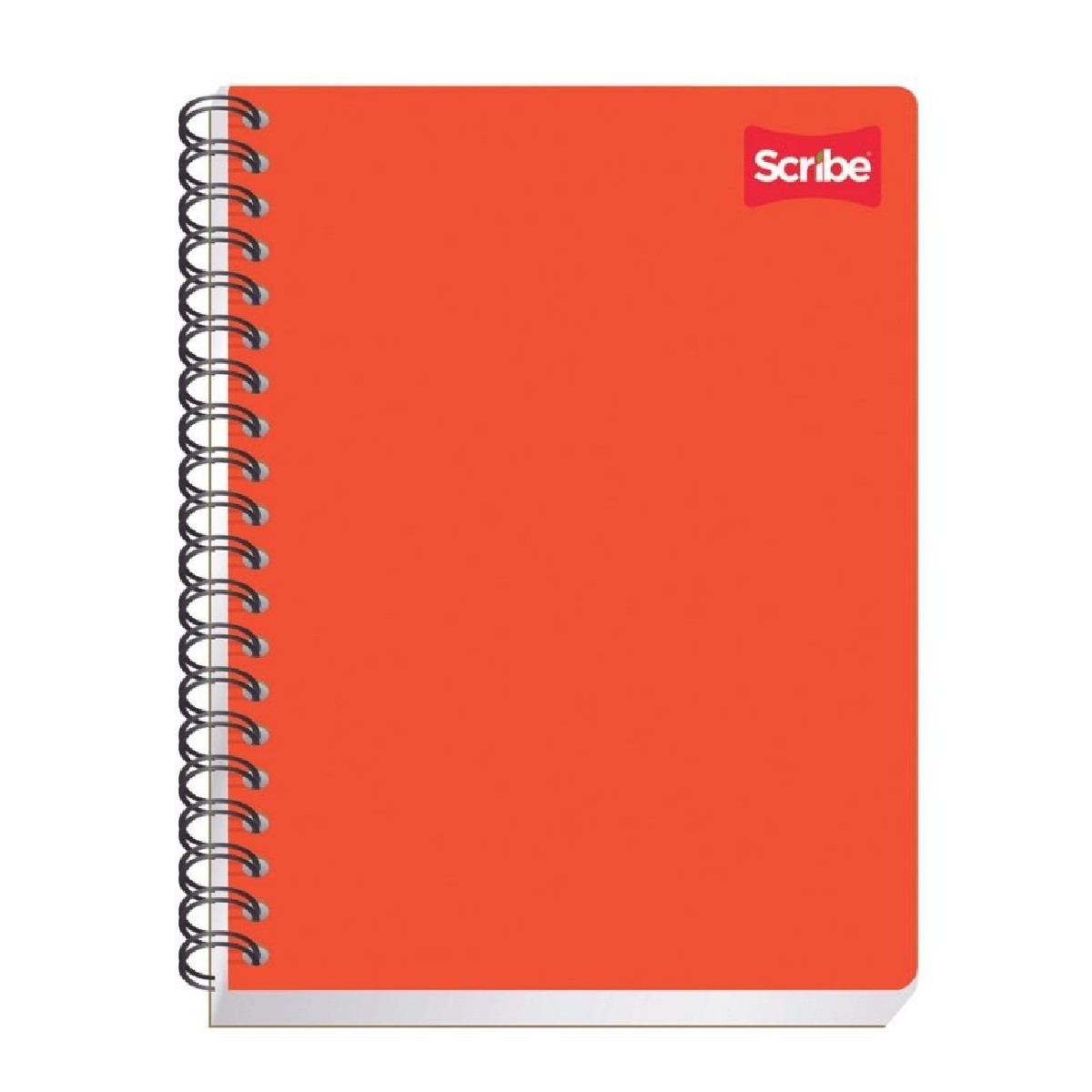 Cuaderno Profesional Scribe Cuadro Chico 200 Hojas | DelSol