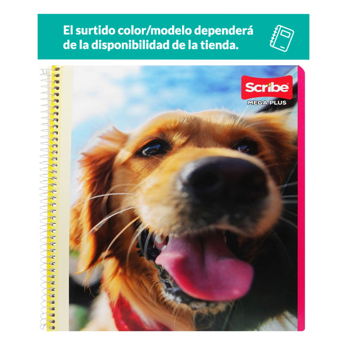 Cuaderno Profesional Scribe Mega Plus Doble Raya 100 Hojas | DelSol