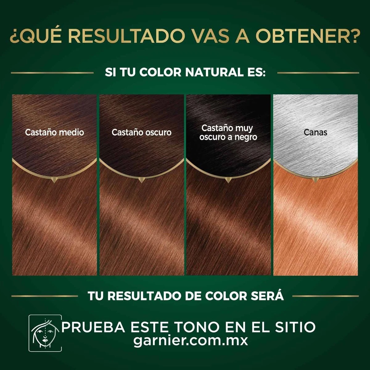 Tinte para Cabello Garnier Nutrisse Oleos Rubio Dorado Caoba 7.35 | DelSol
