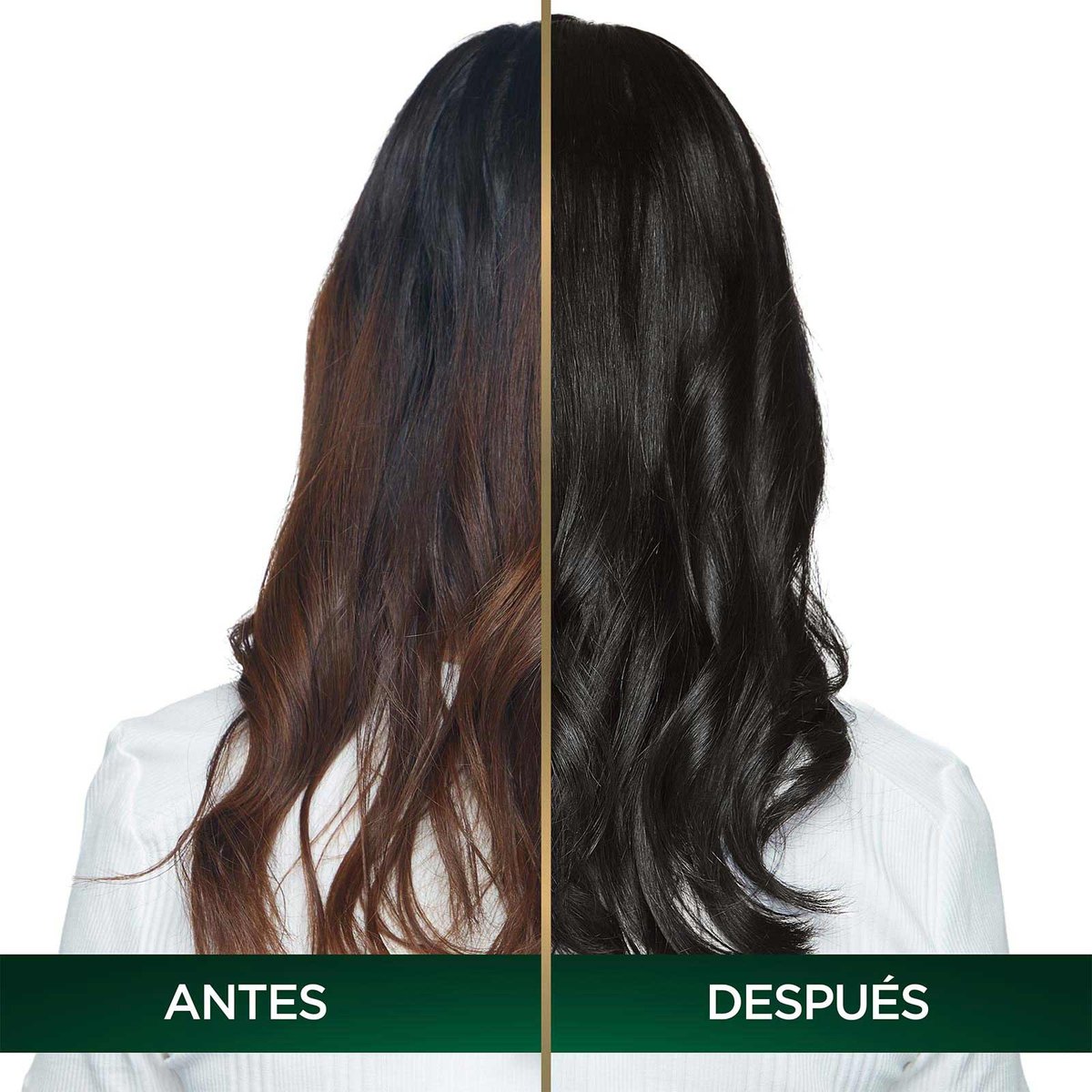 Tinte para Cabello Garnier Nutrisse Oleos Castaño Oscuro 3.0 | DelSol