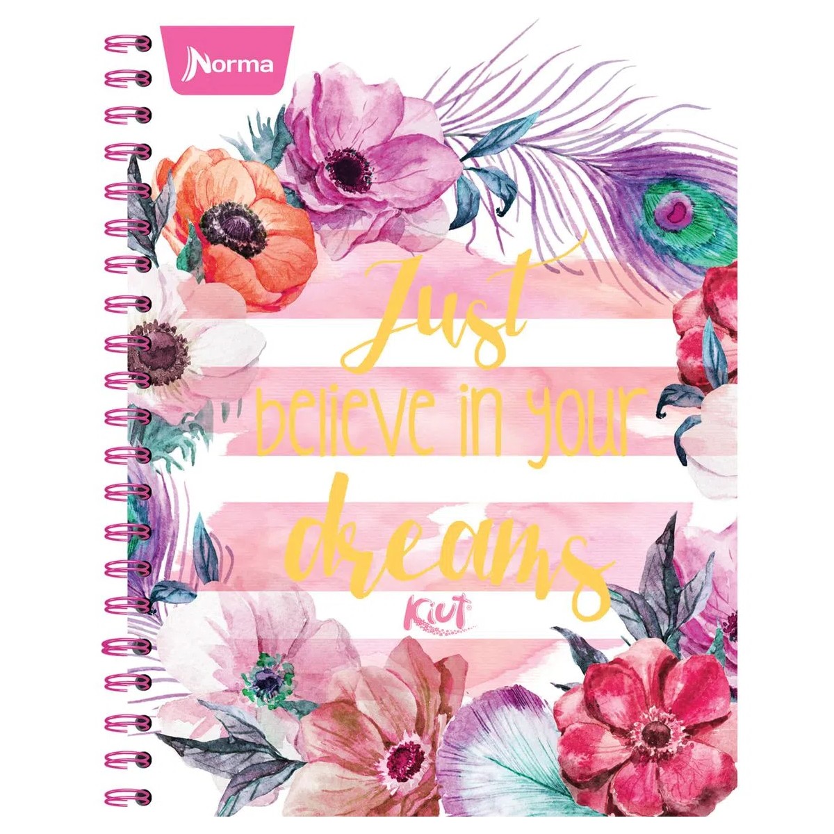 Cuaderno Profesional Norma Kiut Cuadro Grande 100 Hojas | DelSol
